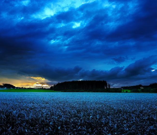 Amazing Pics - Worlds Most Amazing Pictures: Amazing Nature