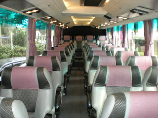 Plusliner Travel and Tours: Nice Executive Coach