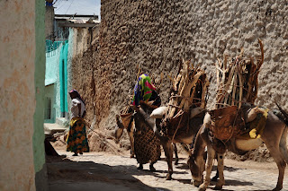 Travel Scars: Harar Part I: Chat Culture