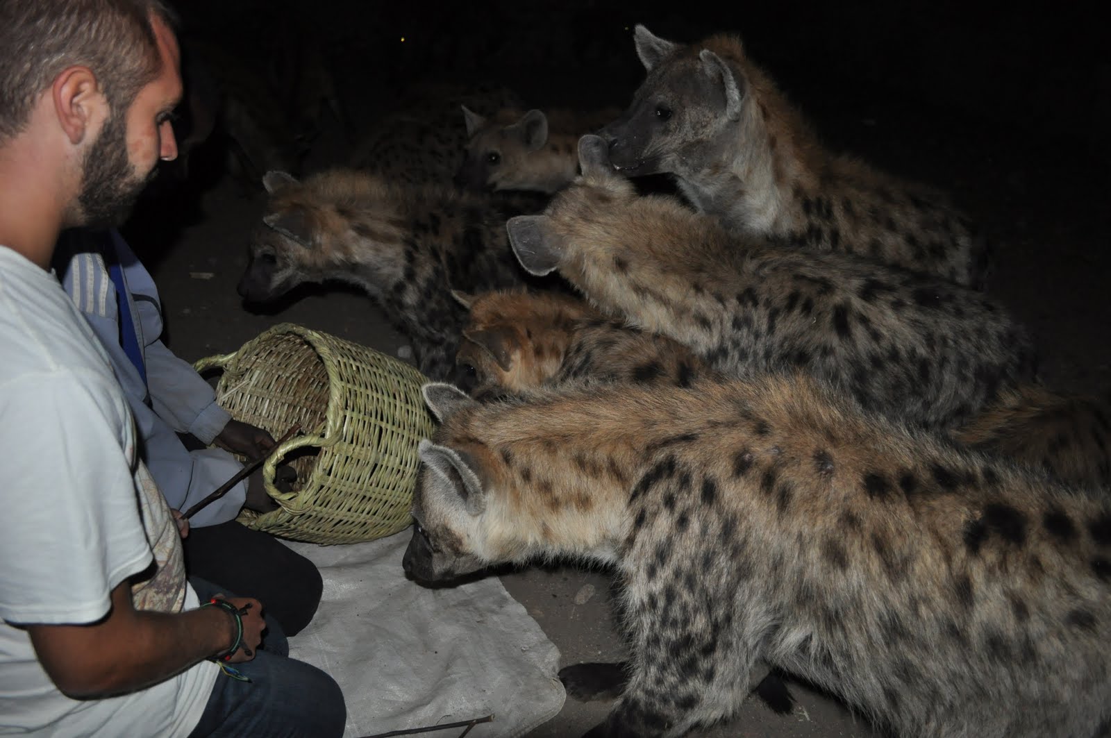 Travel Scars: Harar Part I: Chat Culture