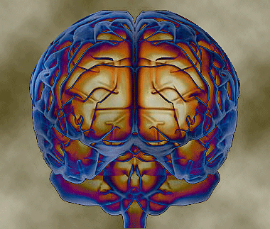 La Biblioteca de Alejandría: Herófilo, hace 2.300 años