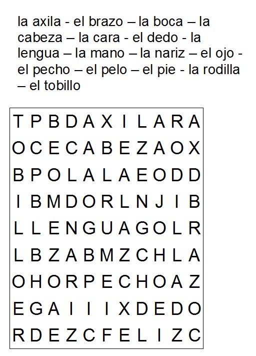 U.D Seres humanos y la salud: Las partes del cuerpo