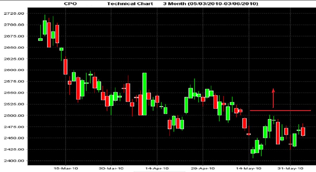 CPO ( Crude Palm Oil ) Futures / Investment