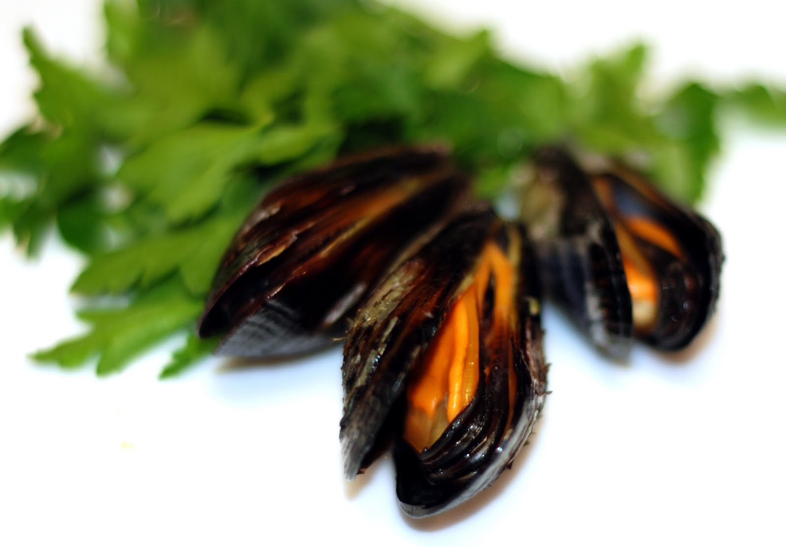 the Garden of Leah: Harvesting Wild Mussels