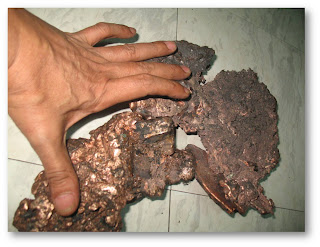 Power Generation Project Experiences: ROTOR DETAIL INSPECTION WITH ...