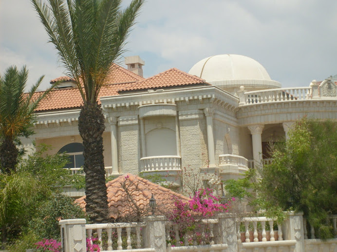 Adventures of a Palestinian Wolf Lioness