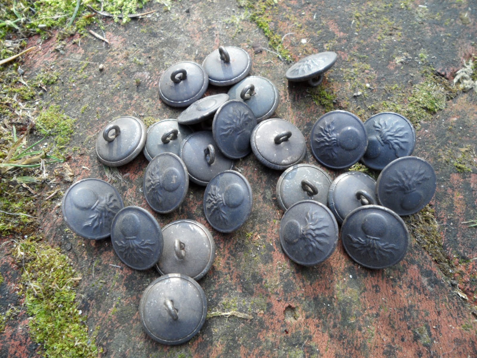 Four Bees: French Buttons