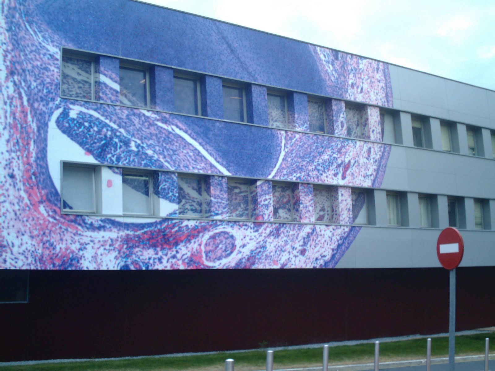 la ciudad habla: HOSPITAL