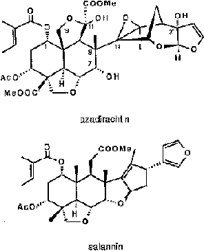 What's in a Neem?: Active Components and Preparation