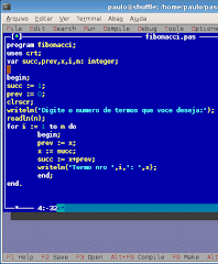 Linguagem computacional pascal