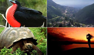 fauna y flora ecuatoriana: Fauna del ecuador