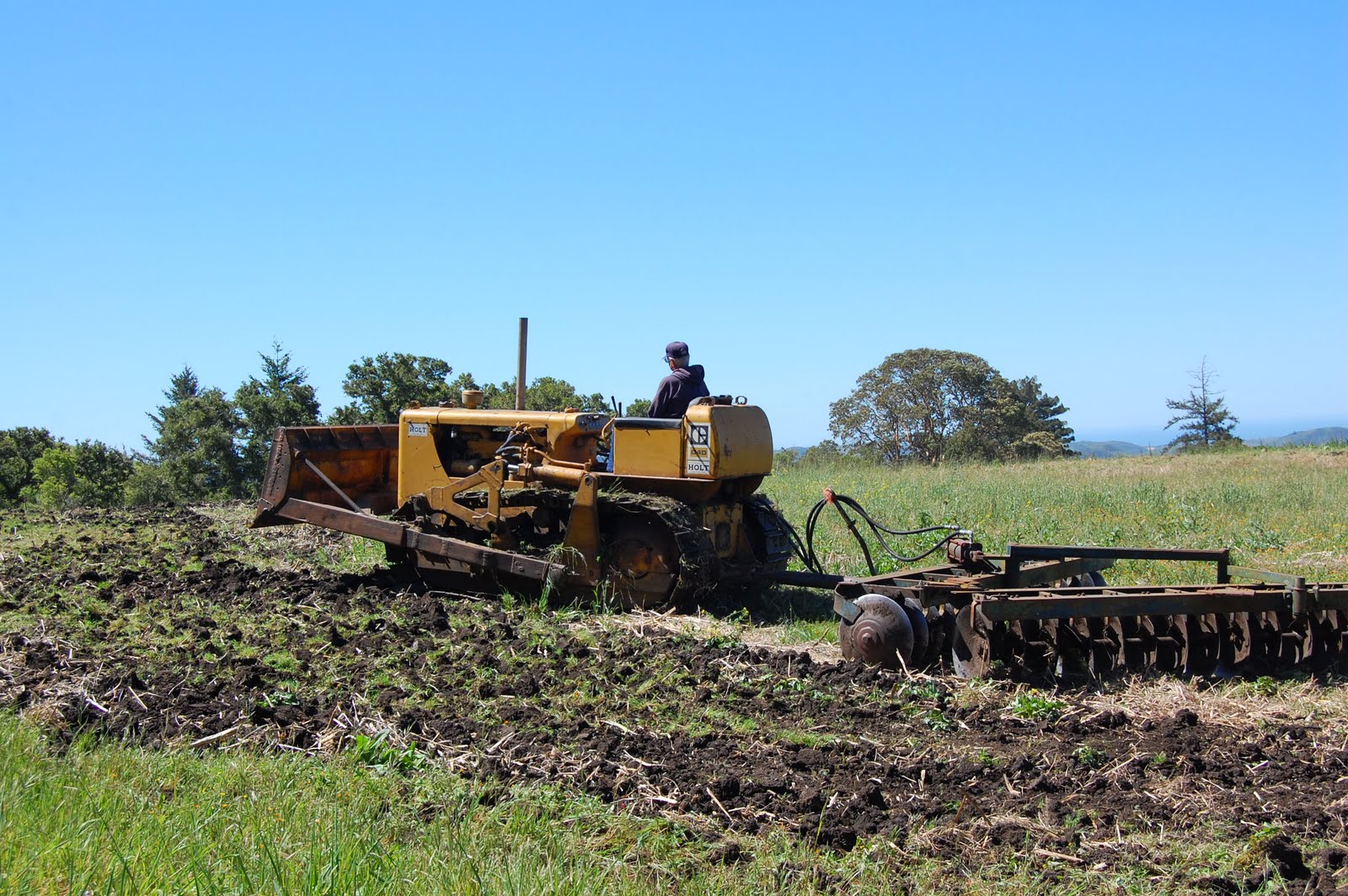 Life on the farm: The field has been disced