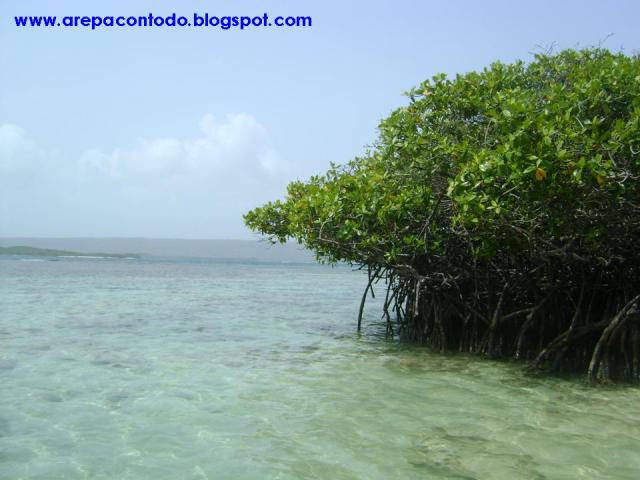 Arepa con Todo: Parque Nacional Morrocoy: CAYO MUERTO (parte 5 de 5)