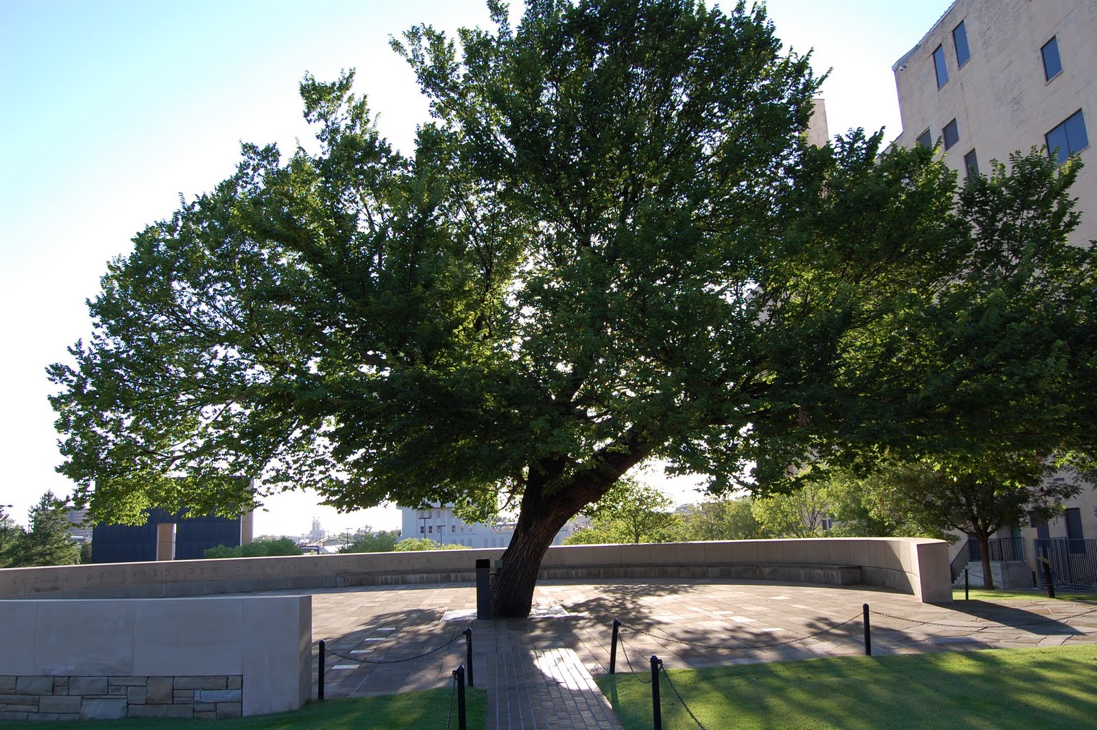 .::xxxmurphy::.: Survivor Tree Oklahoma City Memorial