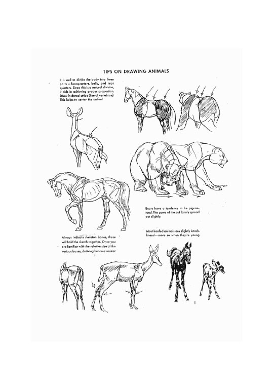 Webb's Blog: Provided PDFs from MyUca