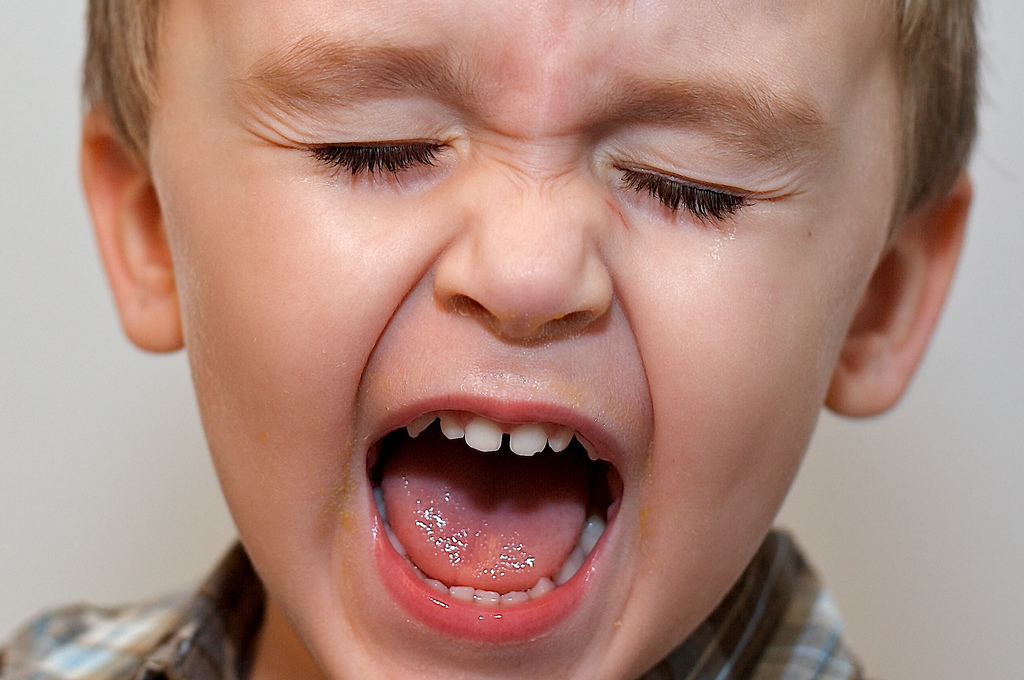 DC DISCOMBOBULATED: Nephew's faces...