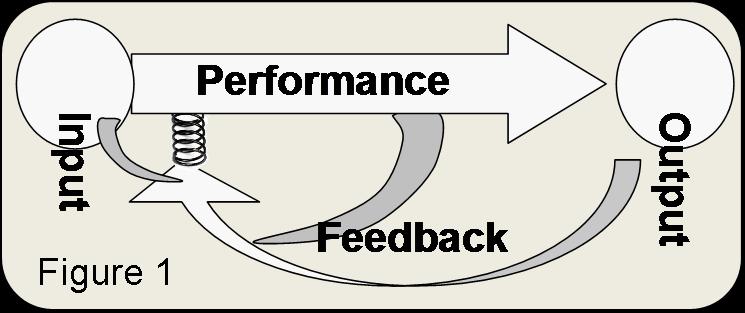 Performance Management, Change Management,: The Power of Feedback