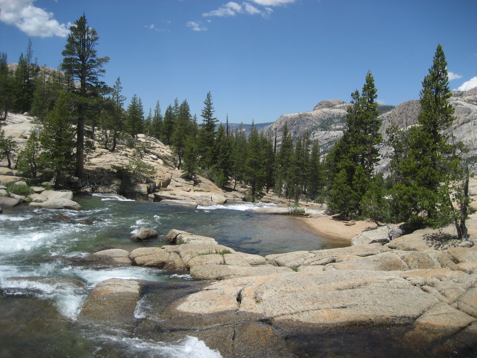 Daily Adventures: Nature's Peace in Yosemite National Park