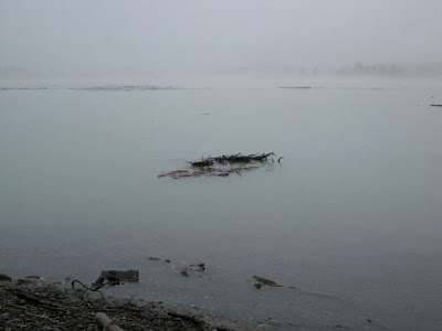What Do I Know?: Primrose Campground Wet Mushroom Walk