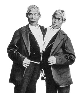 CIENCIAS PARA EL MUNDO CONTEMPORÁNEO 4: Siameses