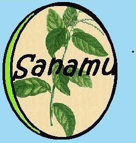 Sanamu: PLANTA DE ANAMÚ