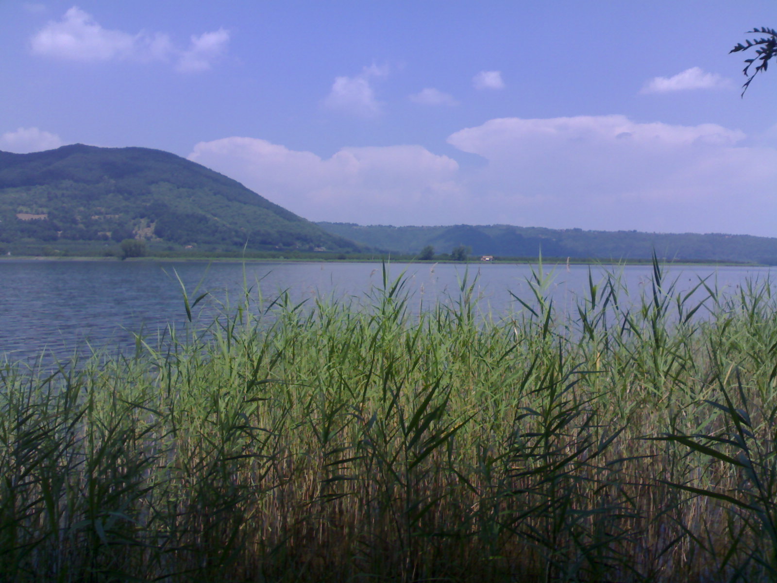 Roma Ciclista: Tra i canneti del Lago di Vico