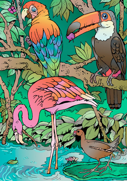 Ilustrando el Amazonas