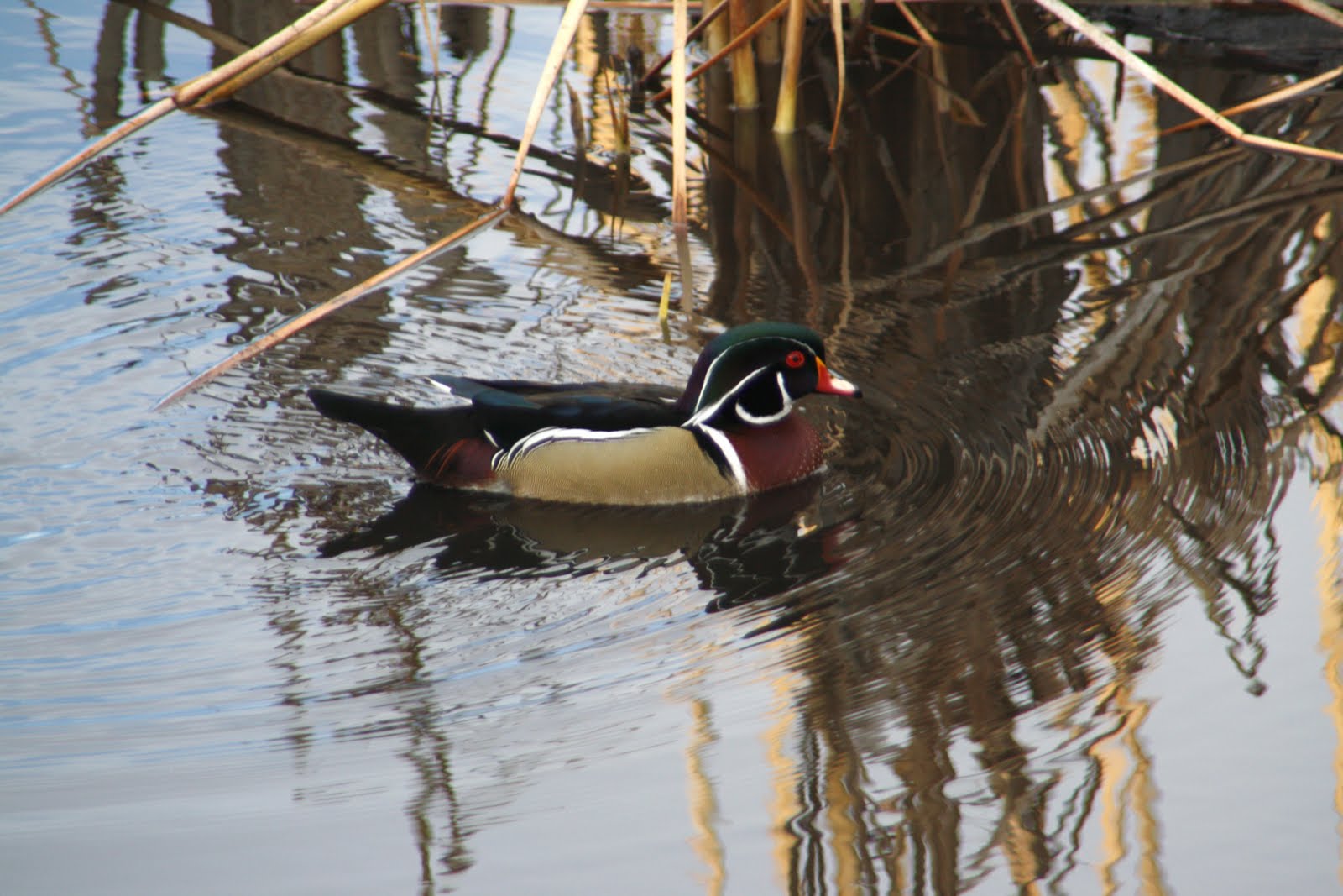 Beth's Blog: Finally.....