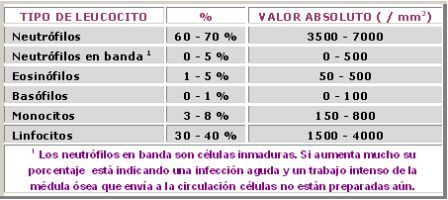 CIENCIAS BIOLOGICAS: LA SANGRE - TEJIDO SANGUINEO