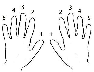 belajar musik: posisi jari