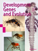 Marmorkrebs: August 2010