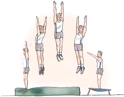 O Meu Portefólio de Desporto: Ginástica - Salto com meia pirueta no ...