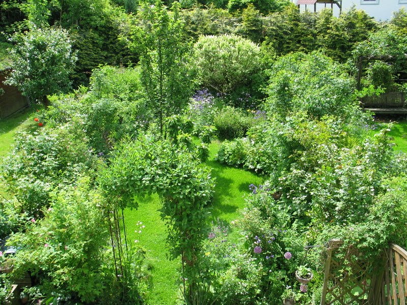 Günstig gärtnern: Mein Garten