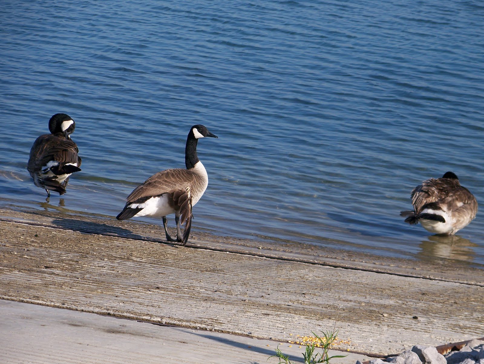 To Behold the Beauty: Thanks, Nurse Jo