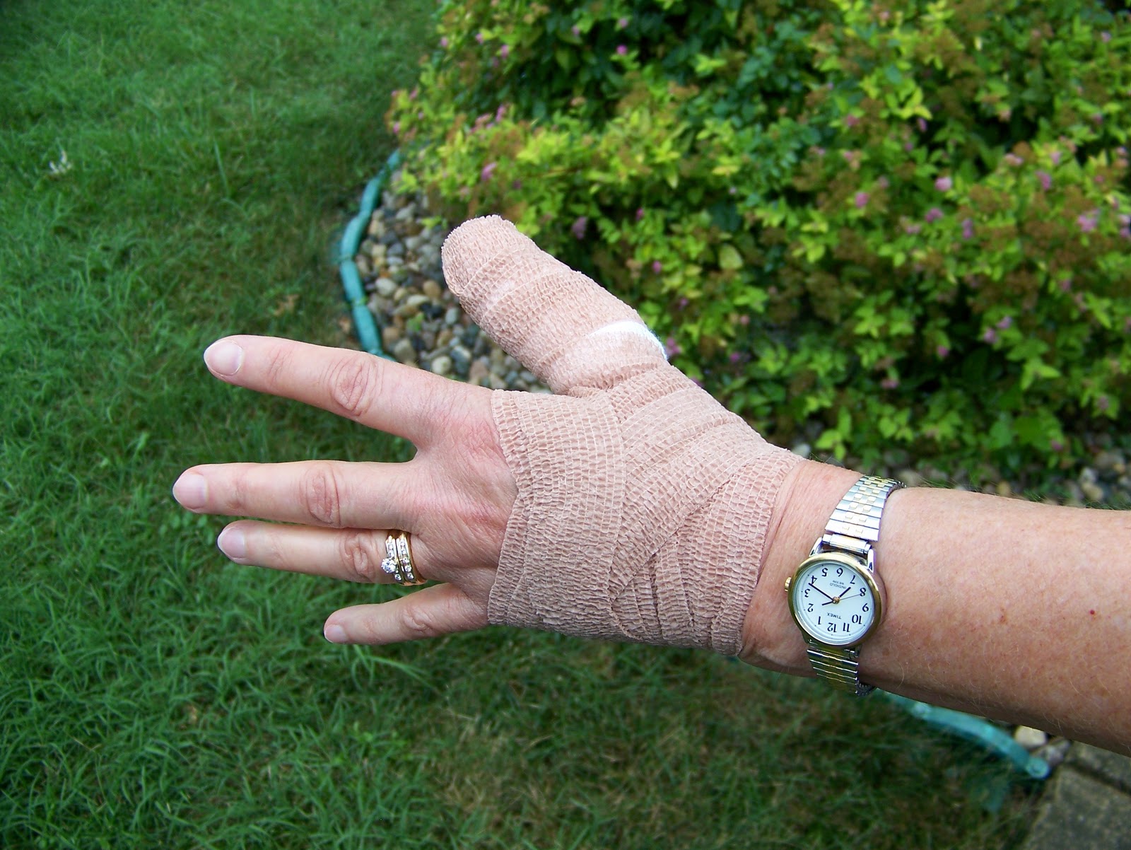 To Behold the Beauty: Hunting Knives and Paper Plates