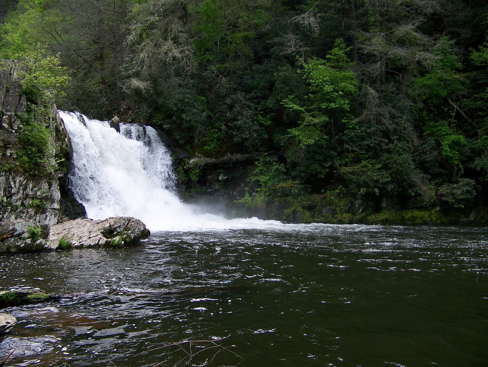 To Behold the Beauty: Waterfalls