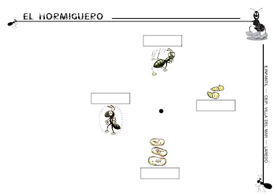 ENTRE HORMIGAS: EL CICLO VITAL DE LAS HORMIGAS