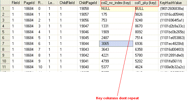 SQL and SQL only: SQL Server never stores the same column twice