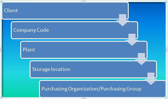 My SAP ERP Journey: Organizational levels in the SAP procurement process