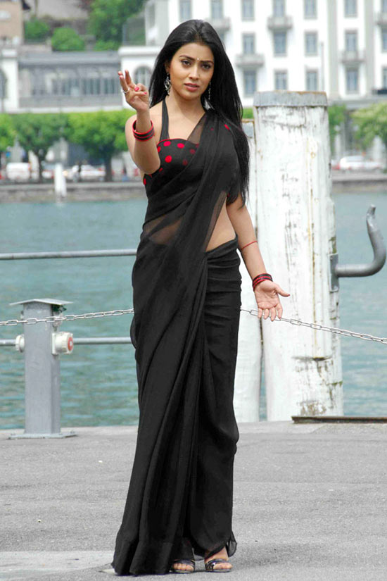 Actress Shriya Hot Stills from "Don Sreenu" - Hollywood | Tollywood ...