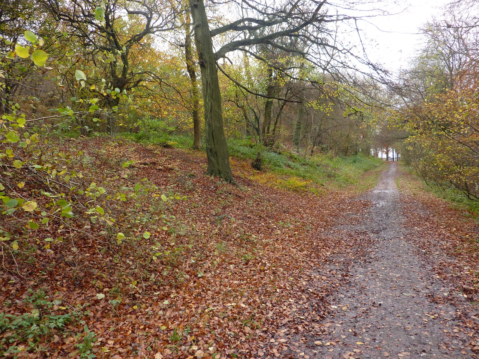 Easy Retirement: Boddington Hill Iron Age Fort