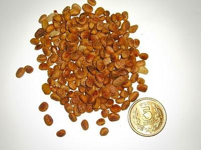 Beauty with Charoli nuts | Healthy Tips For You