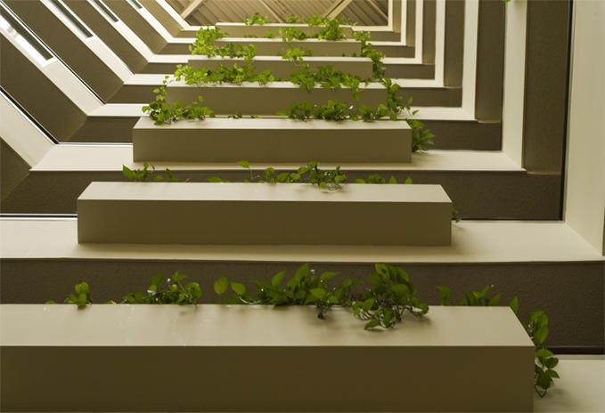 Sena Jung: Composition Definitions Emphasis and Photo Examples