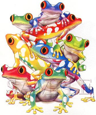 Sailing Leap Frog: The Frog made over and relaunched