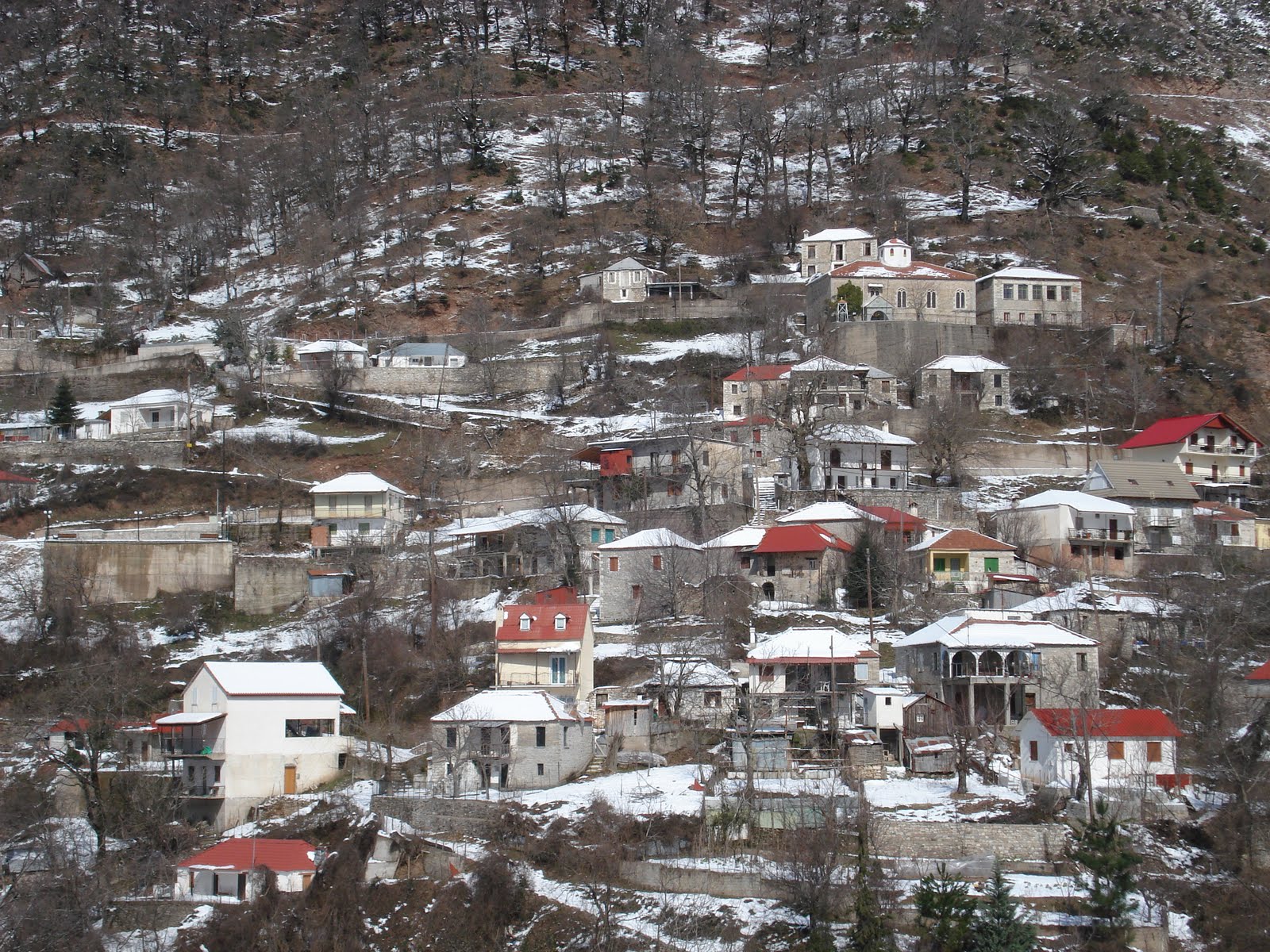 ΣΩΤΗΡΑ ΤΡΙΚΑΛΩΝ: 19 Αυγ 2010