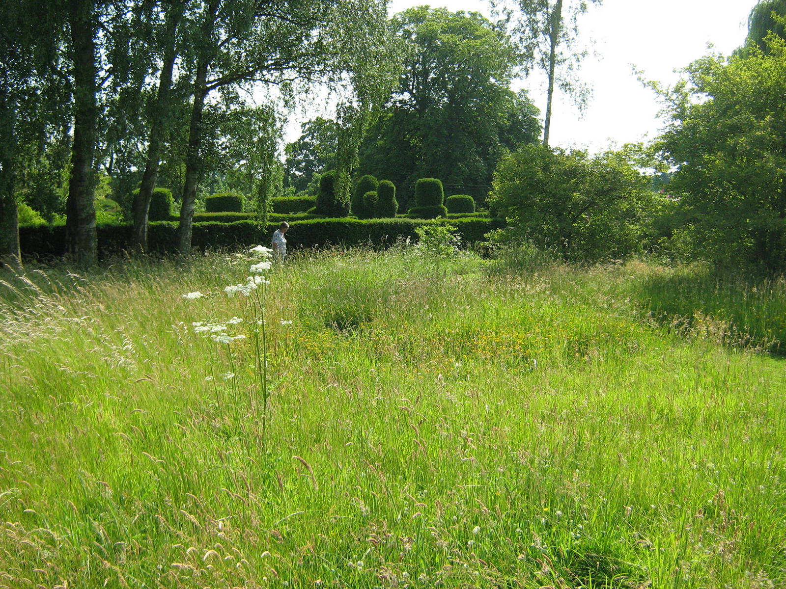 Garden Visit: Bolehyde Manor