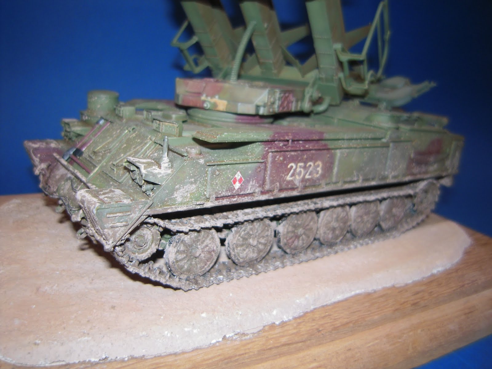 Tango-Mike Squadron: SAM-6 Pologne