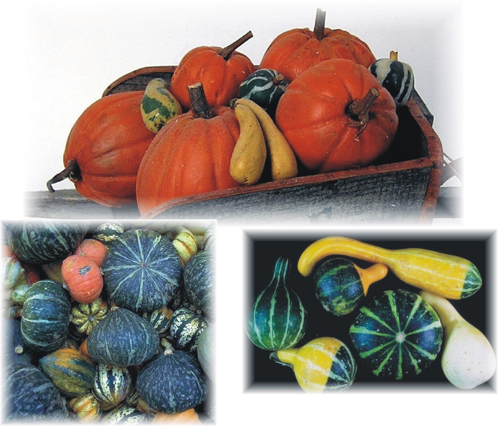 DYI DOLLHOUSE MINIATURES