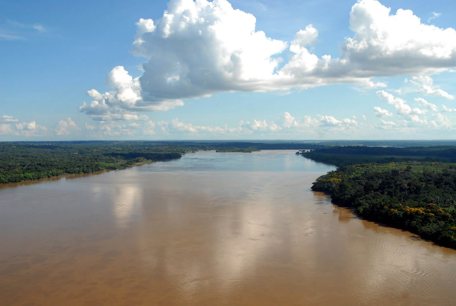 biodiversidade: Rio Amazonas