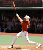 Longhorns Round-Up: Austin Texas: Longhorns Territory